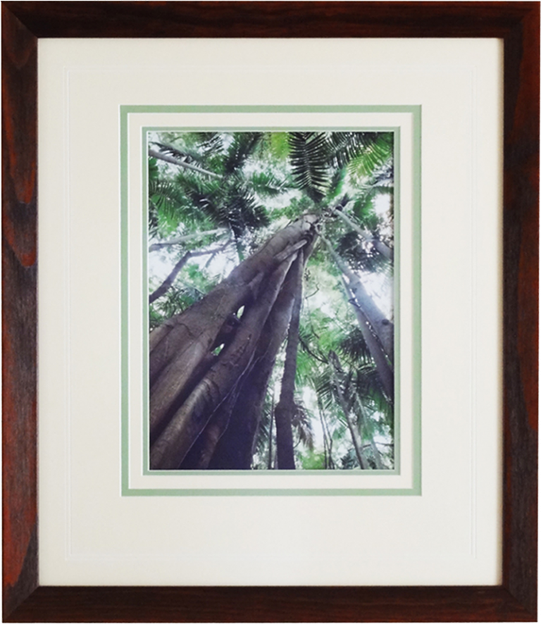 Tree Picture Framing - I've Been Framed